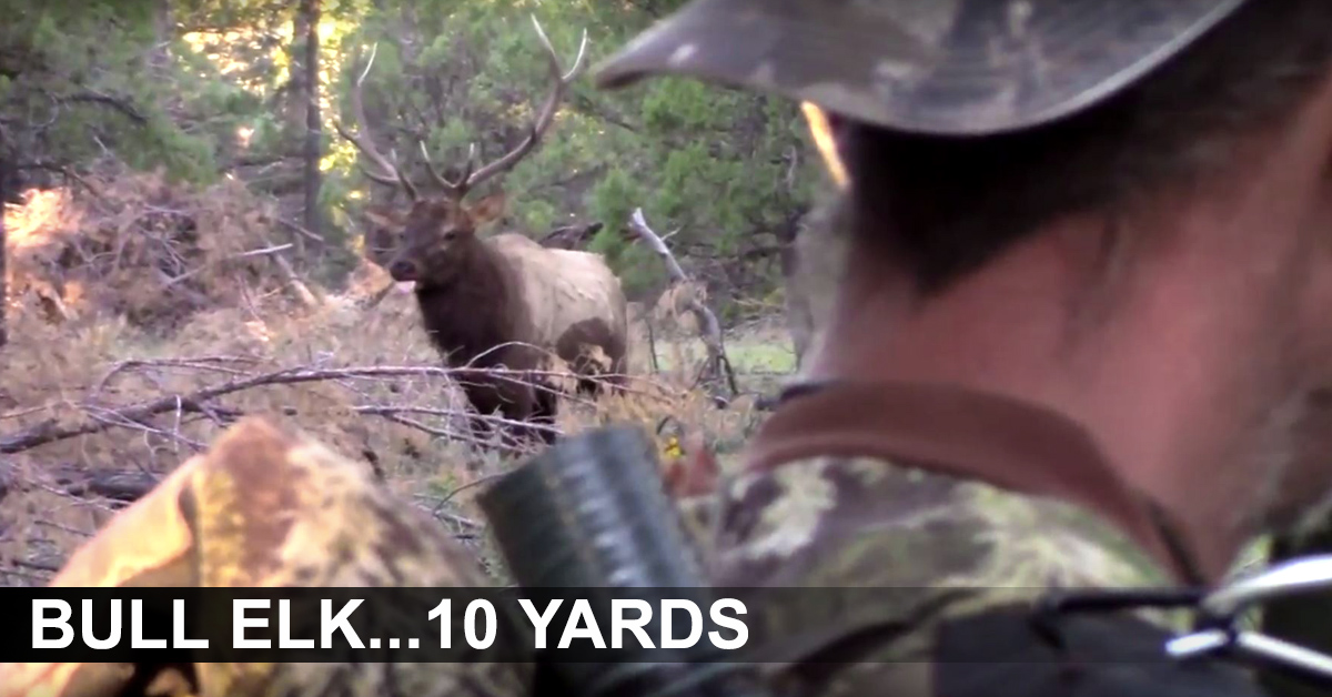 Patented and Proven Hunting Technology Gets You THIS CLOSE – Hunt Daily
