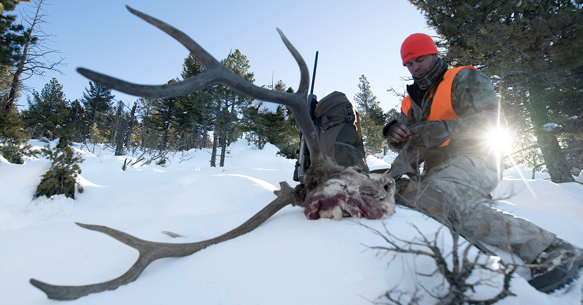 How to Pick the PERFECT Hunting Pack – Hunt Daily